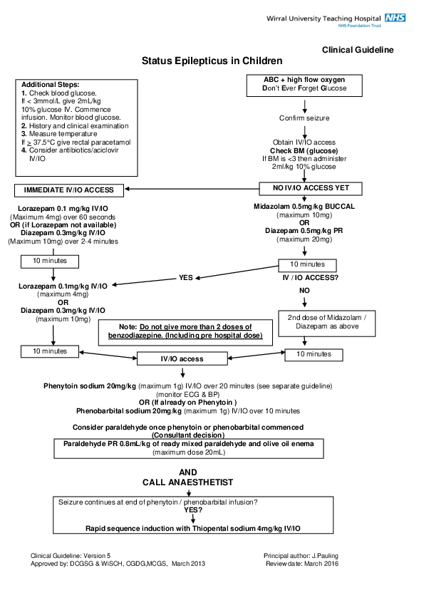 (PDF) Status epilepticus in children