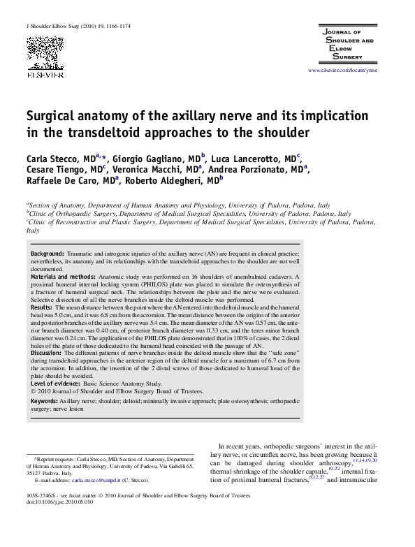 (PDF) Surgical anatomy of the axillary nerve and its implication in the ...