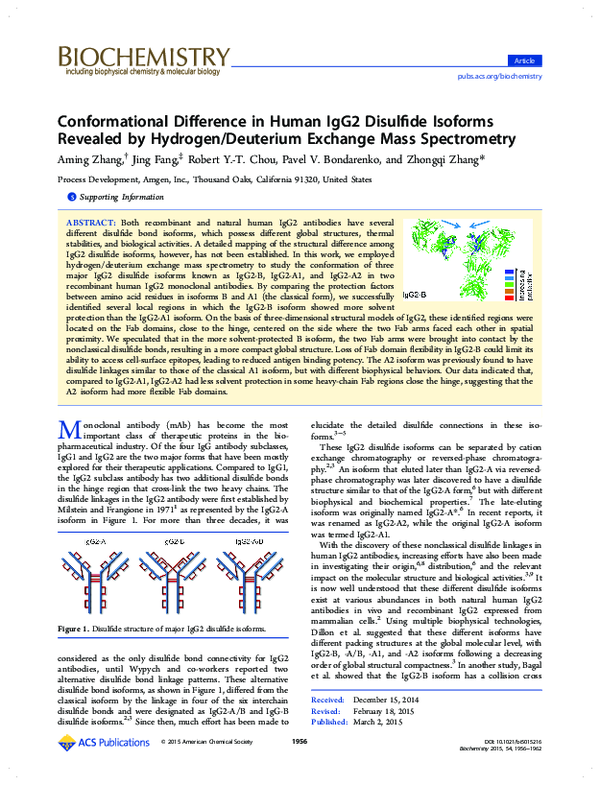 (PDF) Conformational Difference in Human IgG2 Disulfide Isoforms ...