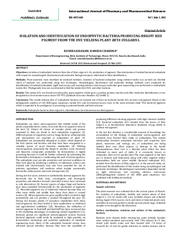 (PDF) ISOLATION AND IDENTIFICATION OF ENDOPHYTIC BACTERIA PRODUCING BRIGHT RED PIGMENT FROM THE ...