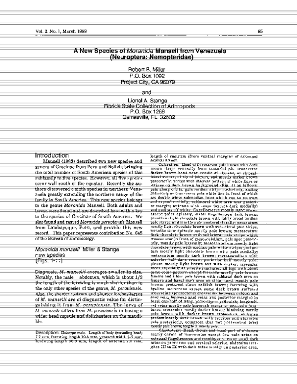 (PDF) A New Species of Moranida Mansell from Venezuela (Neuroptera ...
