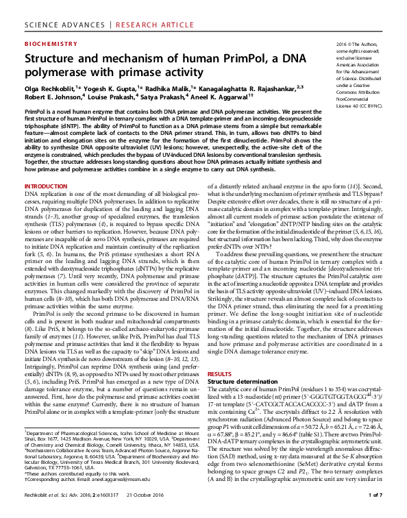 (PDF) Structure and mechanism of human PrimPol, a DNA polymerase with ...