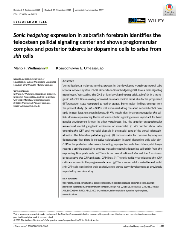 (PDF) Sonic hedgehog expression in zebrafish forebrain identifies the ...