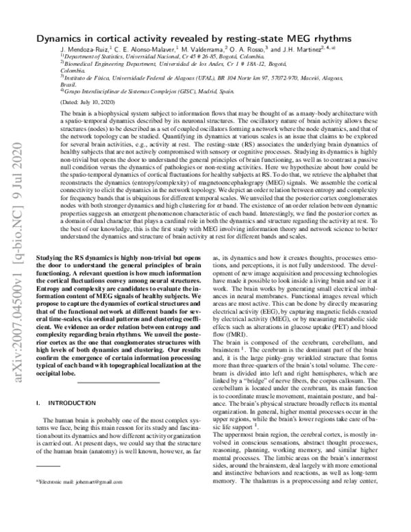 (PDF) Dynamics in cortical activity revealed by resting-state MEG rhythms