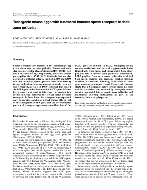 (PDF) Transgenic mouse eggs with functional hamster sperm receptors in ...