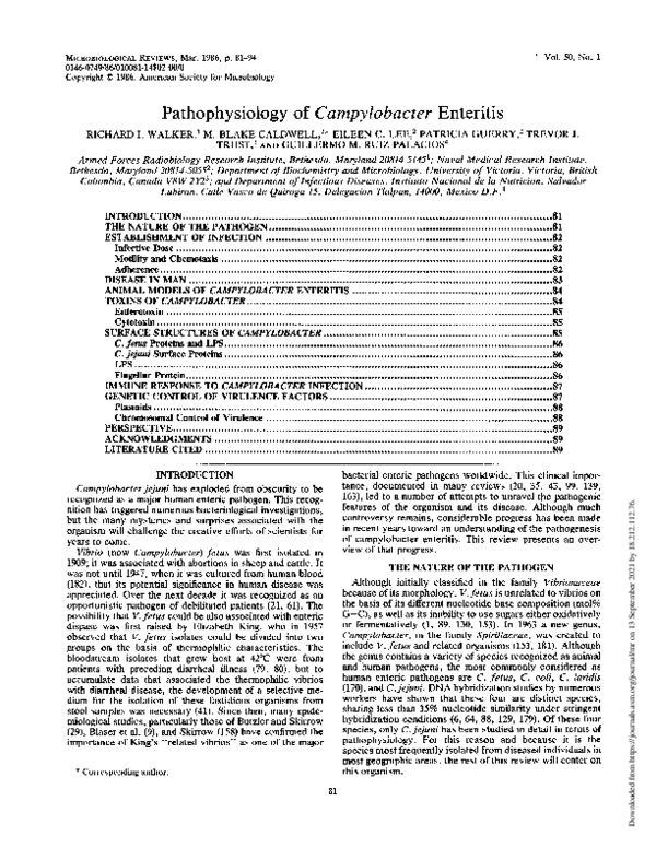 (PDF) Pathophysiology of Campylobacter enteritis