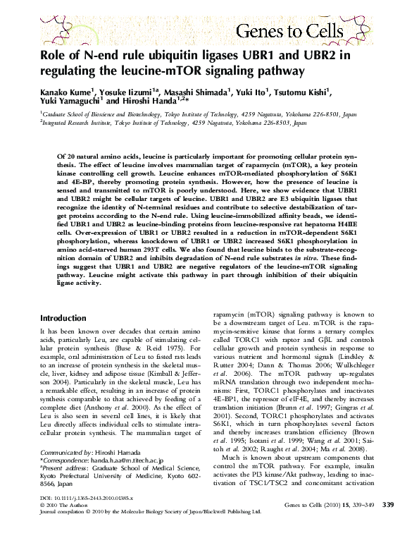 (PDF) Role of N‐end rule ubiquitin ligases UBR1 and UBR2 in regulating ...