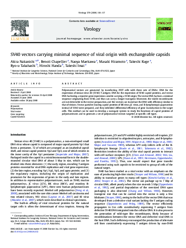 (PDF) SV40 vectors carrying minimal sequence of viral origin with ...