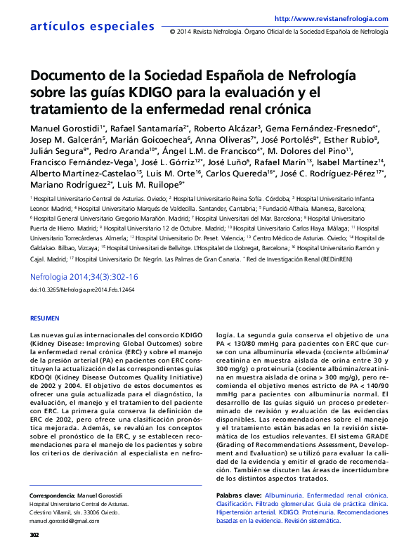 (PDF) Spanish Society of Nephrology document on KDIGO guidelines for ...