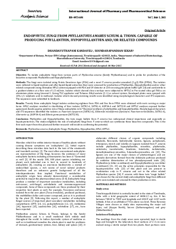 (PDF) ENDOPHYTIC FUNGI FROM PHYLLANTHUS AMARUS SCHUM. & THONN. CAPABLE ...