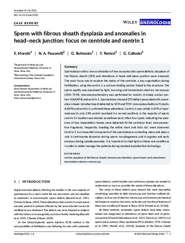 (PDF) Sperm with fibrous sheath dysplasia and anomalies in head-neck junction: focus on ...