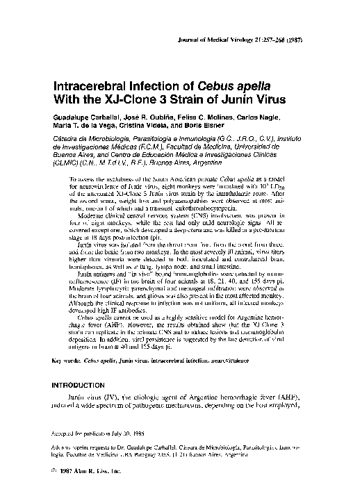 (PDF) Intracerebral infection of cebus apella with the XJ-clone 3 ...