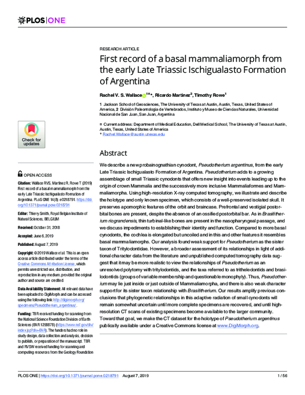 (PDF) First record of a basal mammaliamorph from the early Late ...
