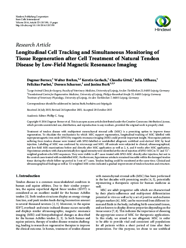 (PDF) Longitudinal Cell Tracking and Simultaneous Monitoring of Tissue Regeneration after Cell ...