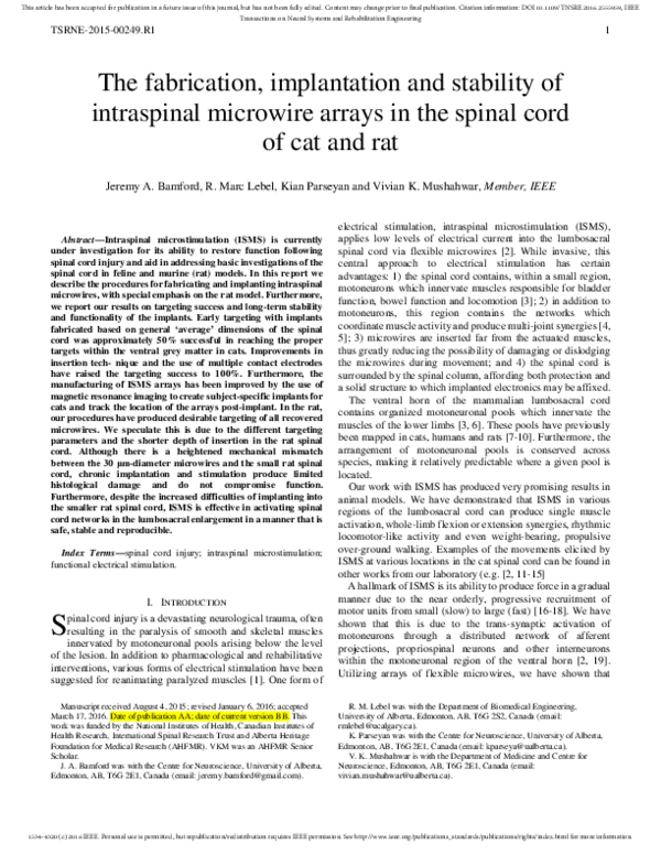 (PDF) The Fabrication, Implantation, and Stability of Intraspinal ...