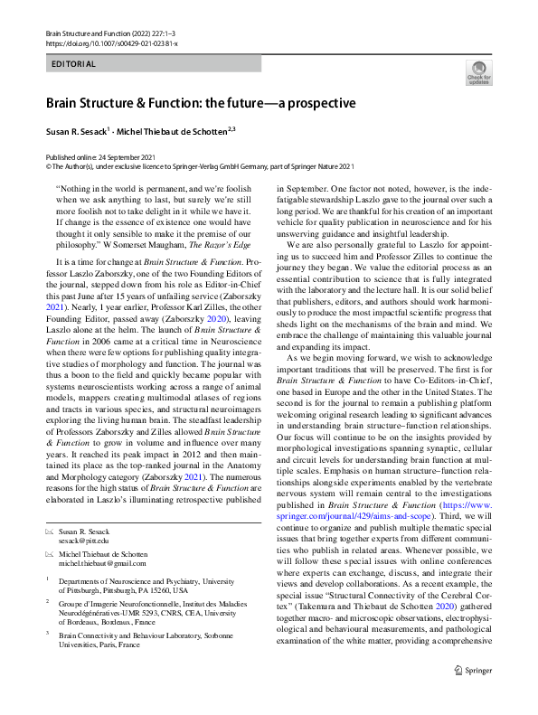 (PDF) Brain Structure Function: the future—a prospective