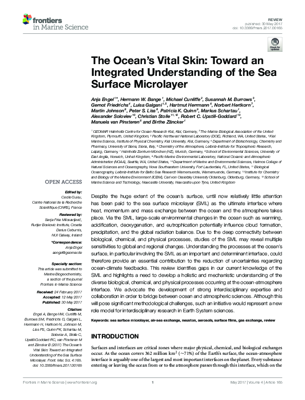 (PDF) The Ocean's Vital Skin: Toward an Integrated Understanding of the ...