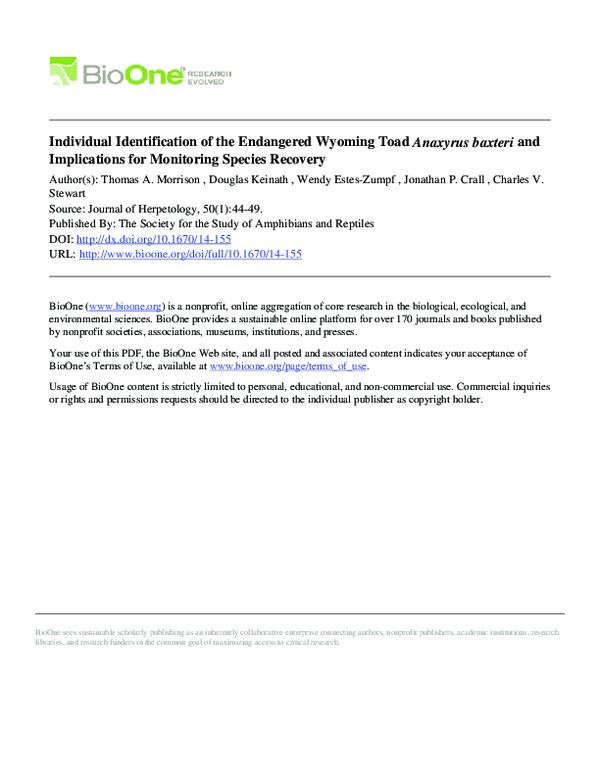 (PDF) Individual Identification of the Endangered Wyoming Toad Anaxyrus ...