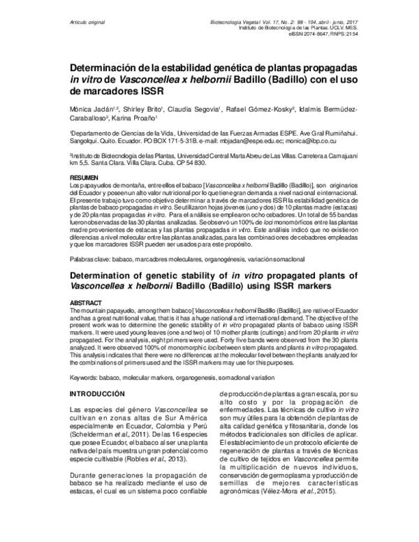 (PDF) Determinación de la estabilidad genética de plantas propagadas in ...