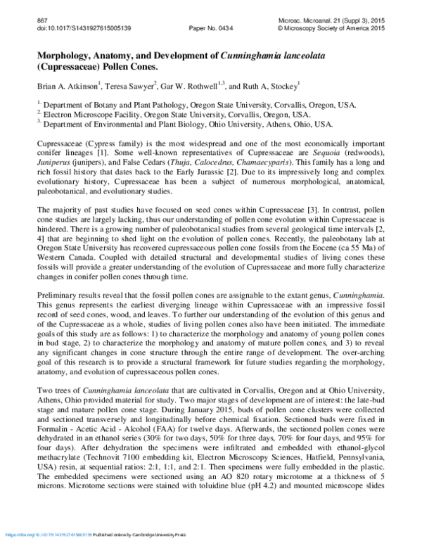(PDF) Morphology, Anatomy, and Development of Cunninghamia lanceolata ...