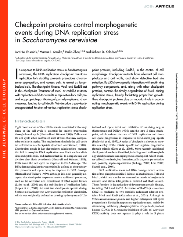 (PDF) Checkpoint proteins control morphogenetic events during DNA ...