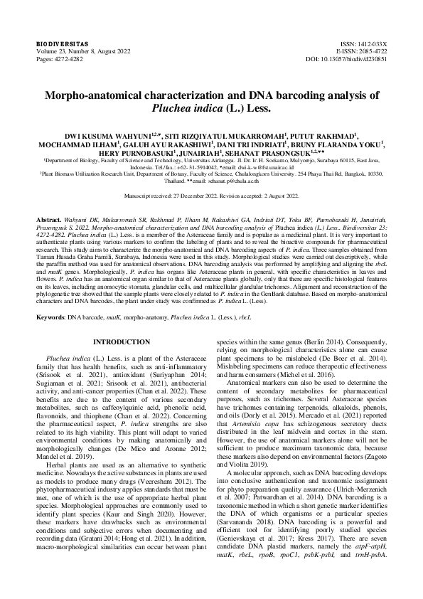(PDF) Morpho-anatomical characterization and DNA barcoding analysis of Pluchea indica (L.) Less