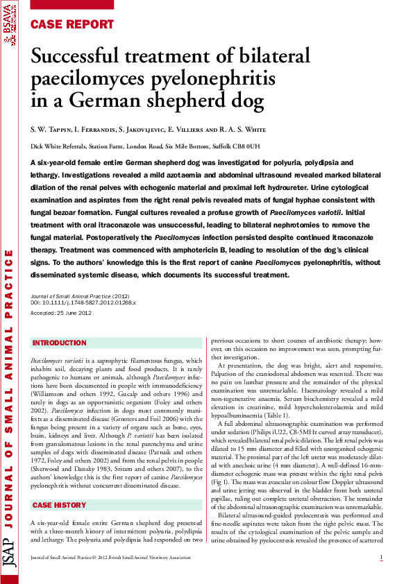 (PDF) Successful treatment of bilateral paecilomyces pyelonephritis in ...