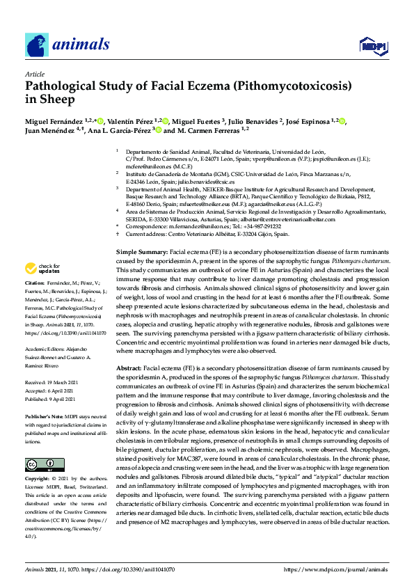 (PDF) Pathological Study of Facial Eczema (Pithomycotoxicosis) in Sheep