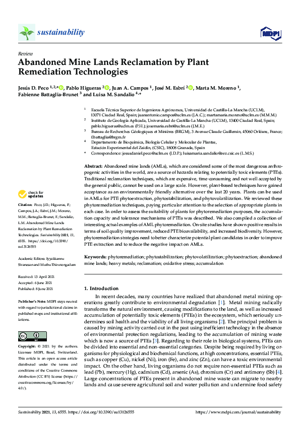 (PDF) Abandoned Mine Lands Reclamation by Plant Remediation Technologies