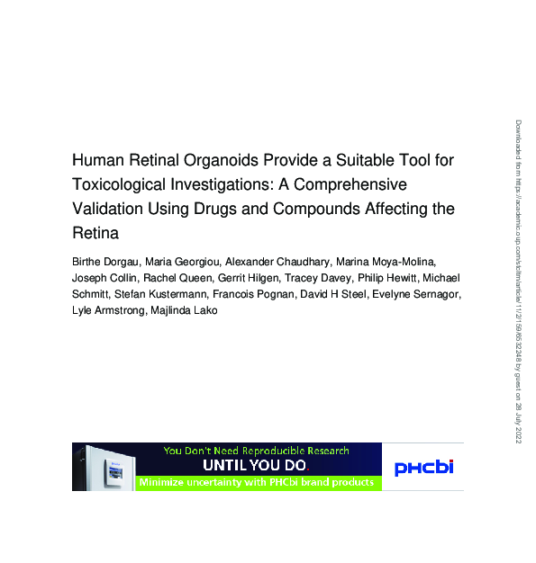 (PDF) Human Retinal Organoids Provide a Suitable Tool for Toxicological ...
