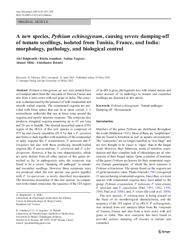 (PDF) A new species, Pythium echinogynum, causing severe damping-off of ...