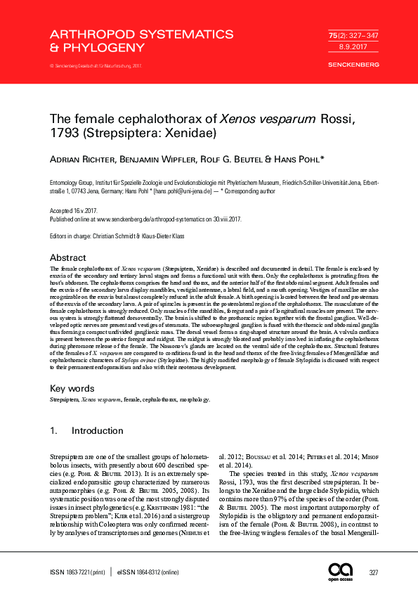 (PDF) The female cephalothorax of Xenos vesparum Rossi, 1793 ...