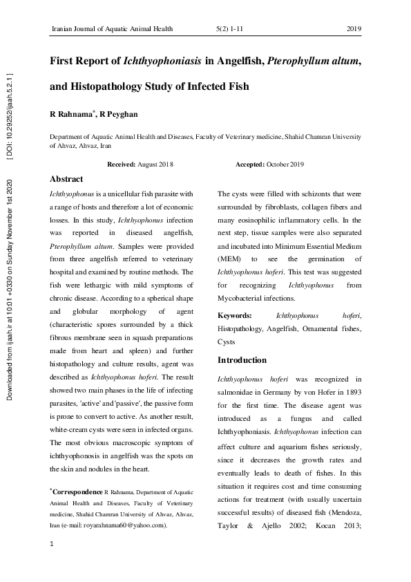 (PDF) First Report of Ichthyophoniasis in Angelfish, Pterophyllum altum ...