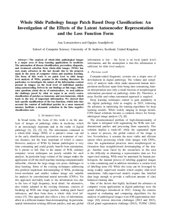 Pdf Whole Slide Pathology Image Patch Based Deep Classification An Investigation Of The 