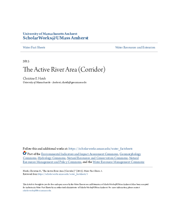(PDF) The Active River Area (Corridor) | Christine Hatch - Academia.edu