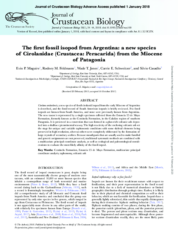 (PDF) The first fossil isopod from Argentina: a new species of ...