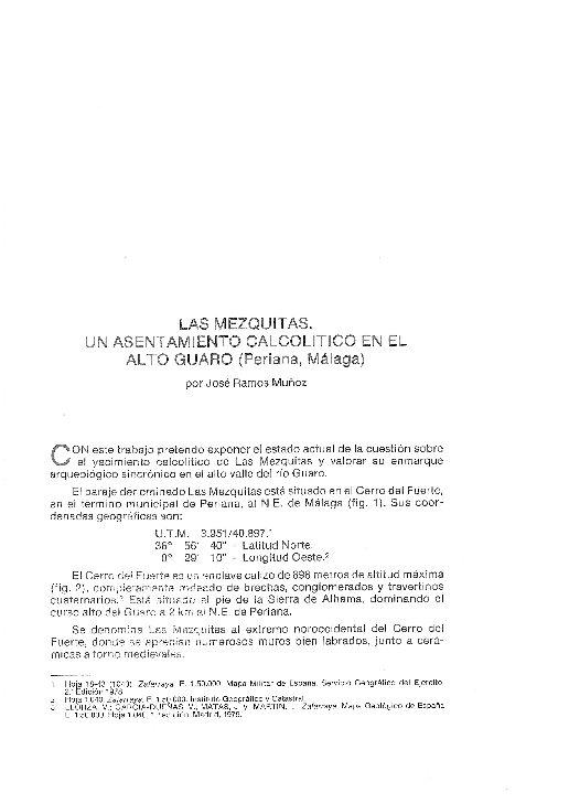 (PDF) Las Mezquitas. Un asentamiento Calcolítico en el Alto Guaro ...