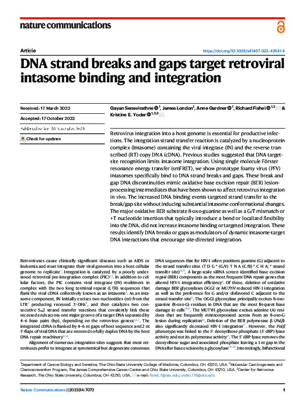 (PDF) DNA strand breaks and gaps target retroviral intasome binding and integration | Gayan ...