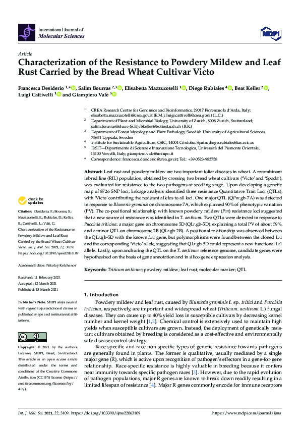 (PDF) Characterization of the resistance to powdery mildew and leaf rust carried by the bread ...
