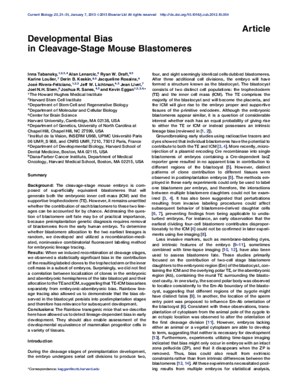(PDF) Developmental Bias in Cleavage-Stage Mouse Blastomeres