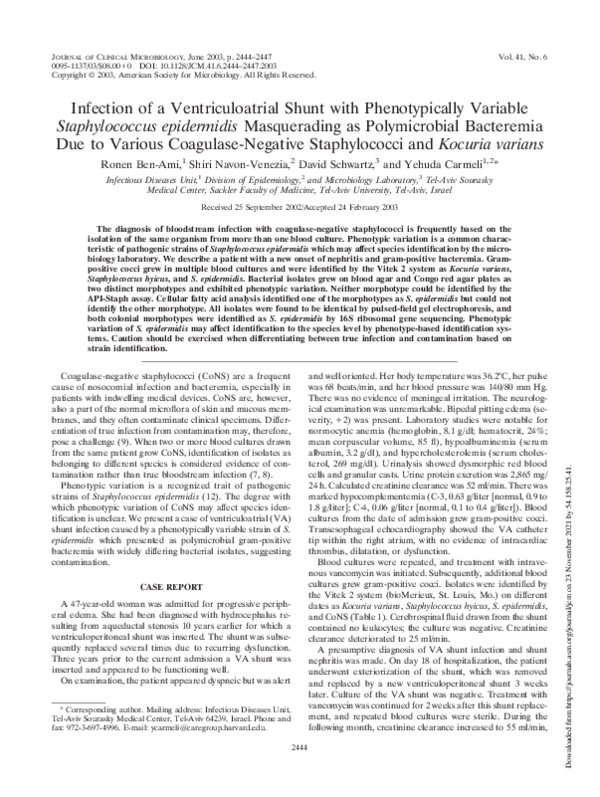 (PDF) Infection of a Ventriculoatrial Shunt with Phenotypically ...