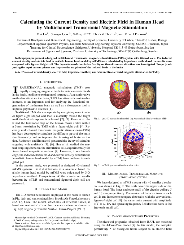 (PDF) Calculating the Current Density and Electric Field in Human Head ...
