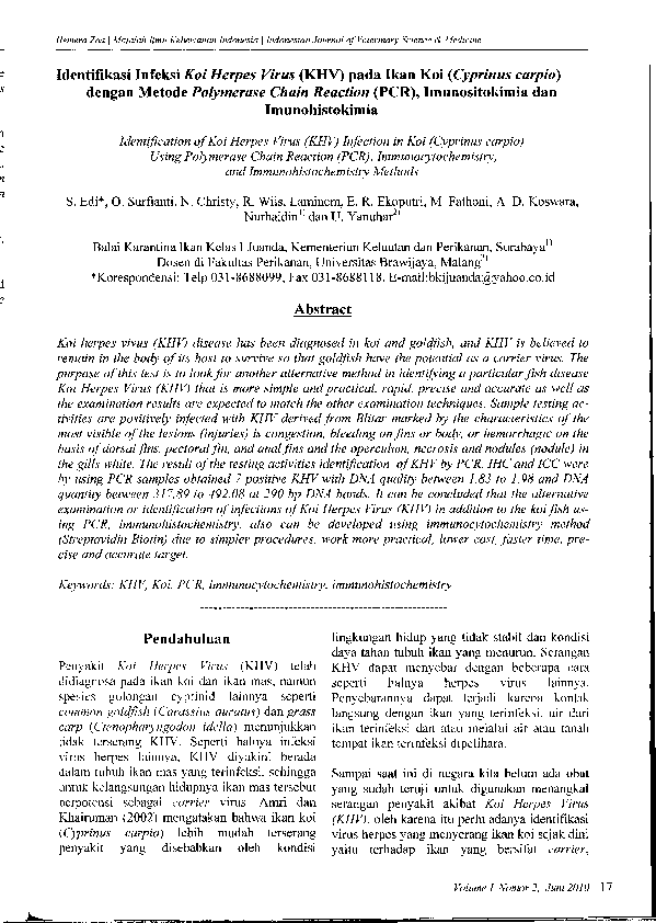 (PDF) Identifikasi infeksi Koi Herpes Virus (KHV) pada ikan Koi (Cyprinus carpio) dengan metode ...