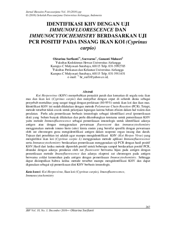 (PDF) IDENTIFIKASI Koi Herpesvirus DENGAN UJI Immunofluorescence DAN ...
