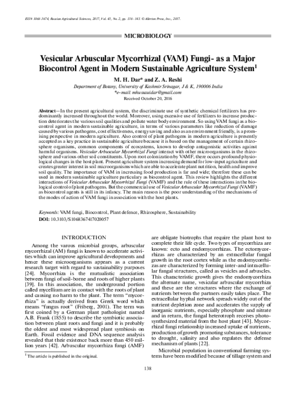 (PDF) Vesicular Arbuscular Mycorrhizal (VAM) fungi- as a major ...