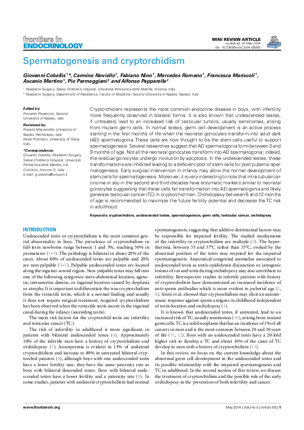 (PDF) Impact of Cryptorchidism on Spermatogenesis and Fertility