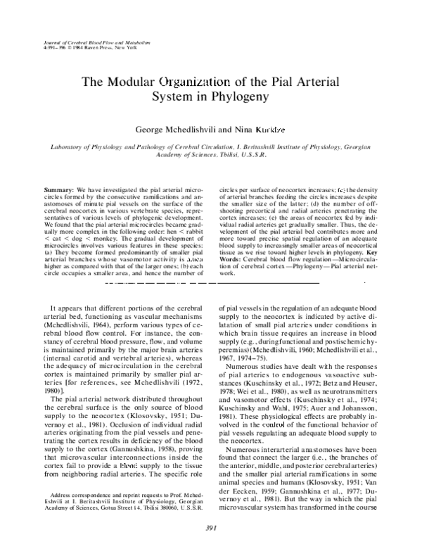 (PDF) The Modular Organization of the Pial Arterial System in Phylogeny