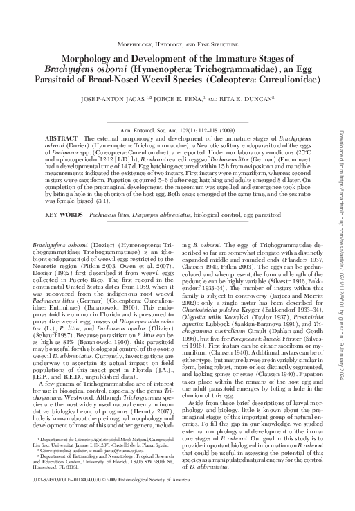 (PDF) Morphology and Development of the Immature Stages of Brachyufens Osborni (Hymenoptera ...