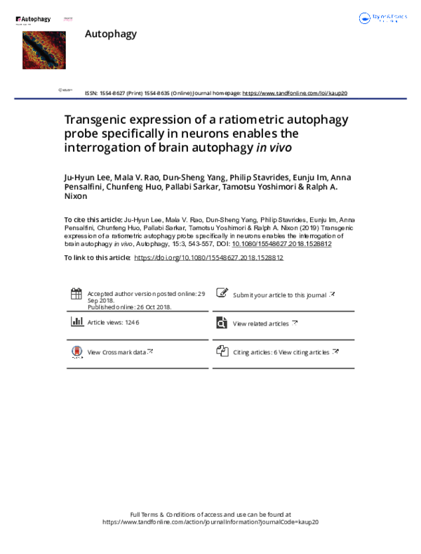 (PDF) Transgenic expression of a ratiometric autophagy probe ...