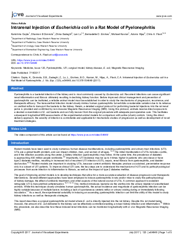 (PDF) Intrarenal Injection of Escherichia coli in a Rat Model of ...